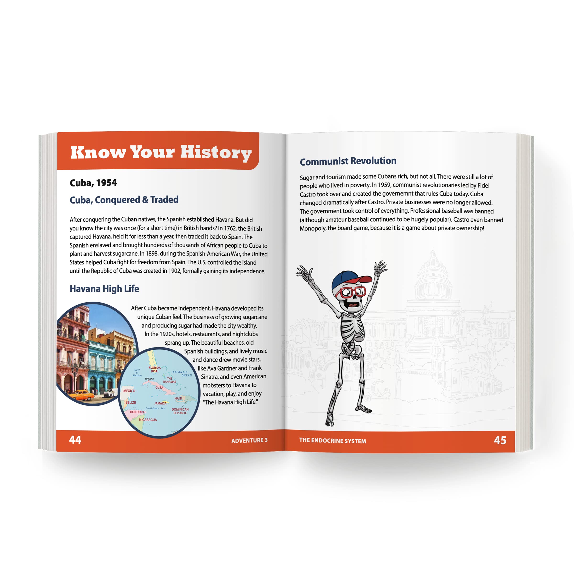 Know Yourself - The Endocrine System: Adventure 8, Human Anatomy for Kids, Best Interactive Activity Workbook to Teach How Your Body Works, STEM & STEAM, Ages 8-12 (Systems of the Body)