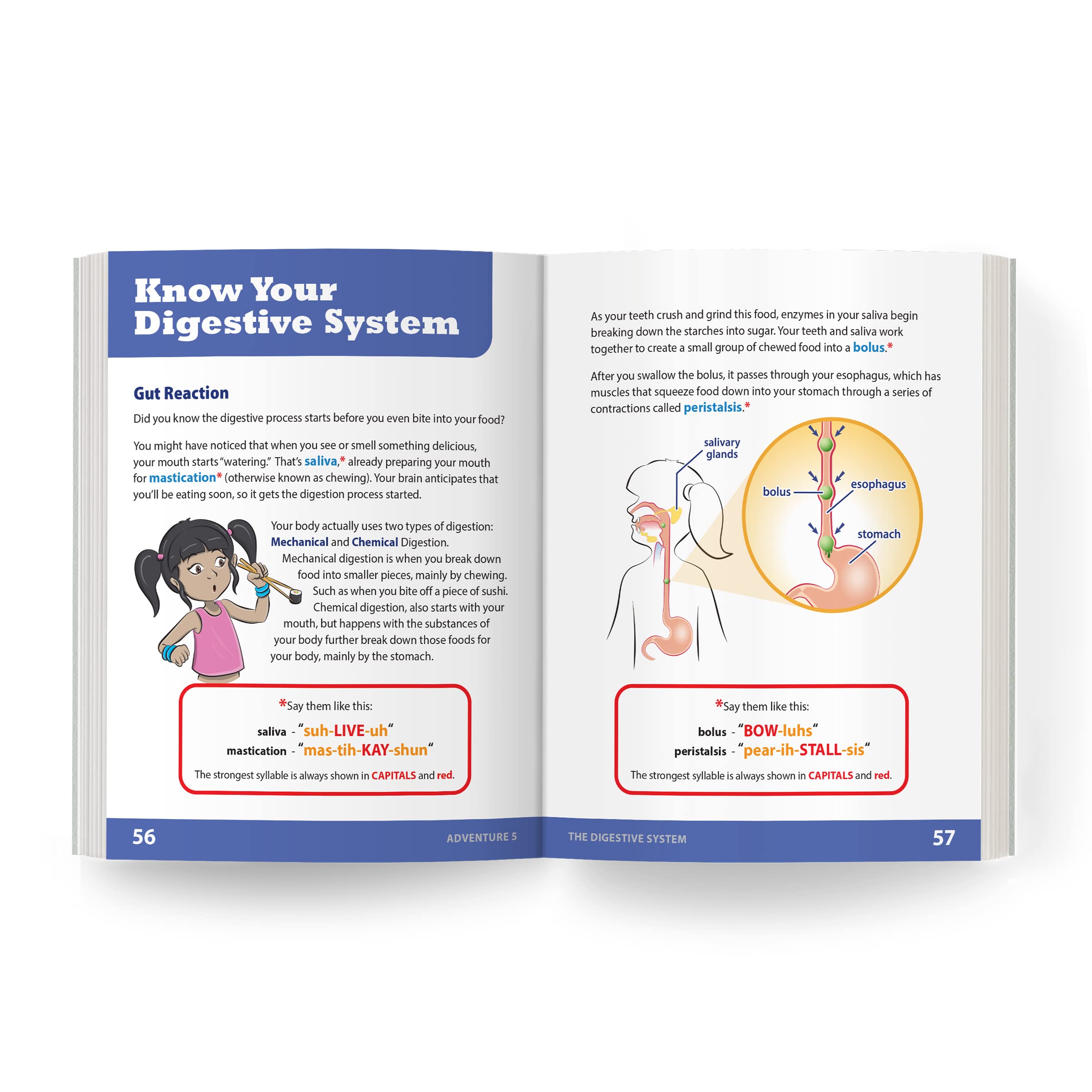 Know Yourself - The Digestive System: Adventure 5, Human Anatomy for Kids, Best Interactive Activity Workbook to Teach How Your Body Works, STEM & STEAM, Ages 8-12 (Systems of the Body)