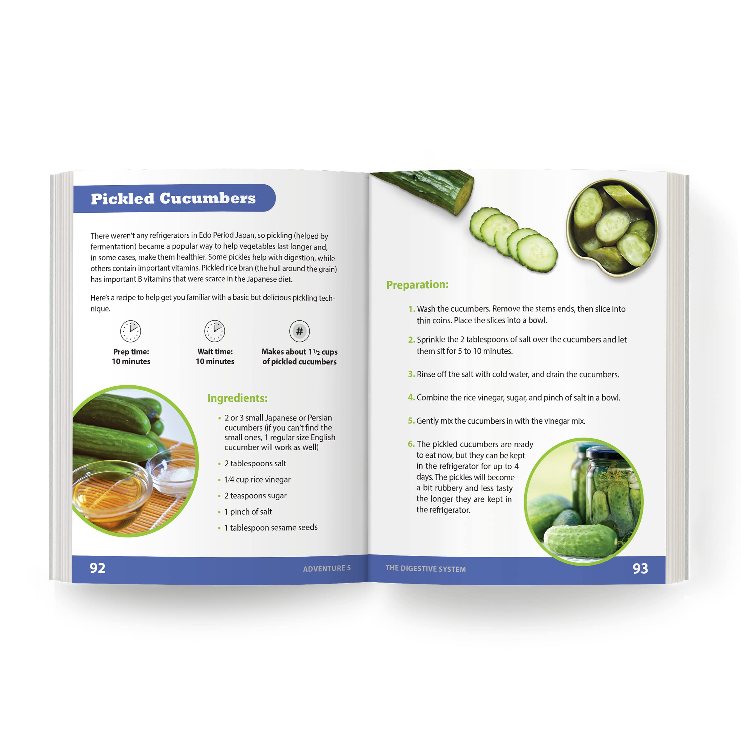 Know Yourself - The Digestive System: Adventure 5, Human Anatomy for Kids, Best Interactive Activity Workbook to Teach How Your Body Works, STEM & STEAM, Ages 8-12 (Systems of the Body)