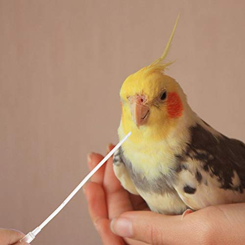 iplusmile Bird Feeding Tube Birds Feeding Syringe, Parrot Feeding Hose Syringe Birds Feeder Tool for Feeding Milk Water, 5pcs