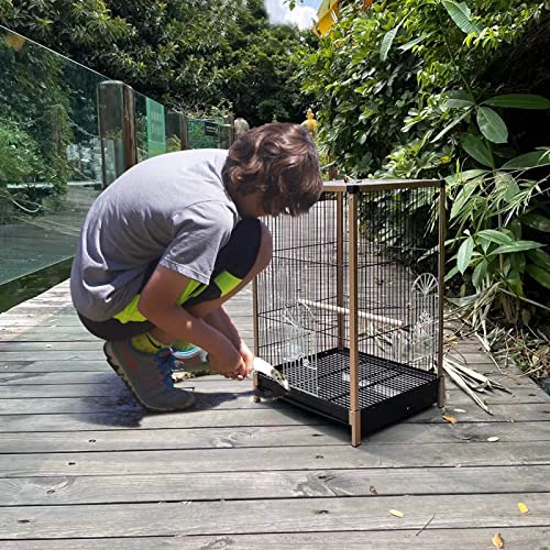 Flat top Bird Travel cage,21 inch Parrot Carrier with Wooden Perch Feeding Cup for Conures Cockatiel Parakeets(Aluminum Frame)