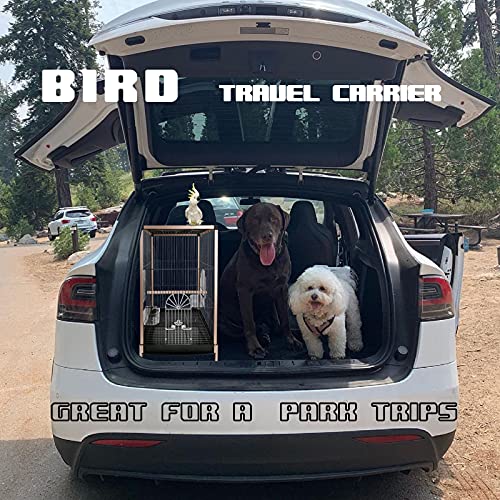 Flat top Bird Travel cage,21 inch Parrot Carrier with Wooden Perch Feeding Cup for Conures Cockatiel Parakeets(Aluminum Frame)