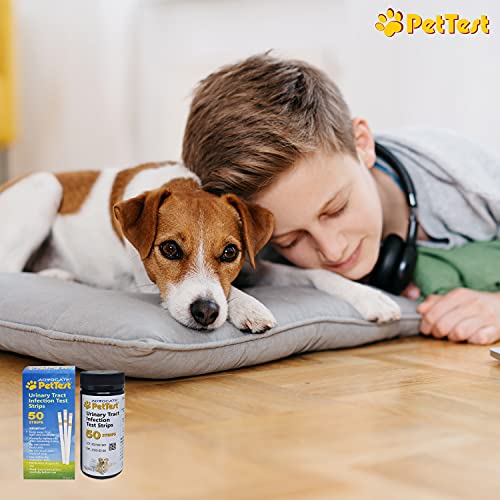 UTI Test Strips for Dogs & Cats detect a Urinary Tract Infection in Your Pet. Use PetTest Cat & Dog UTI Test Strips at Home for an Easy Urine Test. UTI Test for Cats & Dogs Help Manage pet Health.