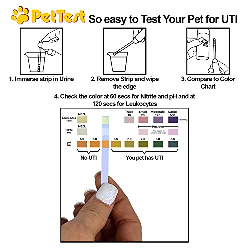 UTI Test Strips for Dogs & Cats detect a Urinary Tract Infection in Your Pet. Use PetTest Cat & Dog UTI Test Strips at Home for an Easy Urine Test. UTI Test for Cats & Dogs Help Manage pet Health.