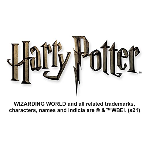 Harry Potter Marauder'S Map THERMOS STAINLESS KING Stainless Steel Drink Bottle, Vacuum insulated & Double Wall, 24oz