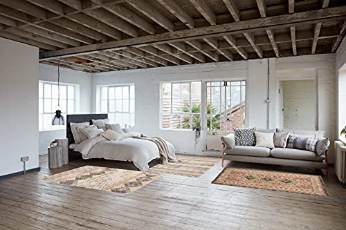 French Connection – Stonewash Rug | Cherokee Strawberry Style | Modern Boho Home Décor | Rectangle Accent Area Rug | 100% Cotton | Measures 2'4 x 4 | Blush