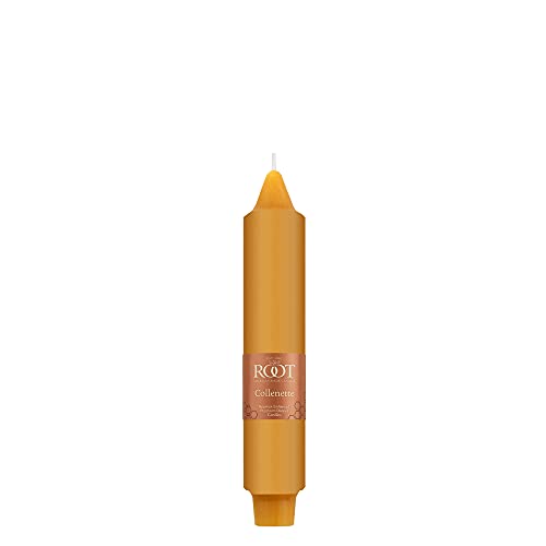 Root Candles Unscented Smooth Collenette 7-Inch Dinner Candles, Box of 4, Butterscotch