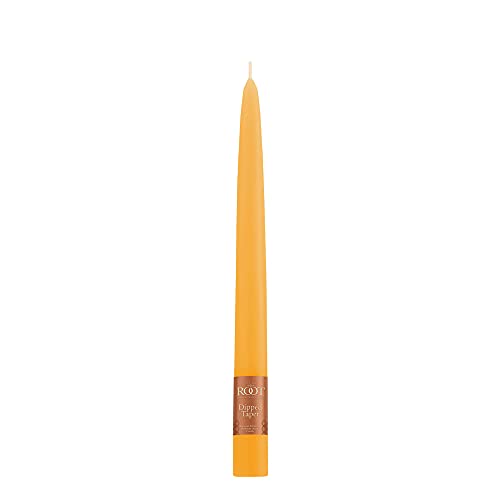 Root Candles Unscented Hand Dipped Taper Candles, 9-Inch Box of 12, Butterscotch