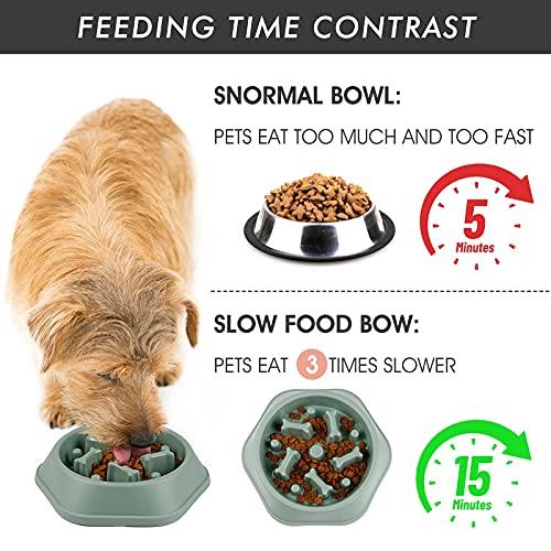 DPOEGTS Slow Feeder Dog Bowl, Puzzle Dog Food Bowl Anti-Gulping Interactive Dog Bowl and Water Dog Bowl for Small/Medium Sized Dogs (Green, Bone)