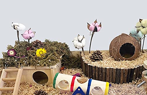 Shuoxpy Small Animal Hideout Multi-Chamber Hamster House Maze Small Pets House Habitats Decor for Hamster Mice Gerbils Mouse (S)