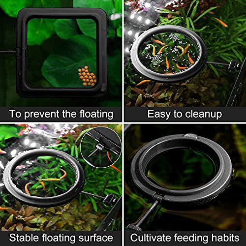 Molain Fish Feeding Ring, 2 Pieces Fish Feeder Aquarium Fish Turtle Tank Accessories Food Feeder Circle for Guppy, Bettas, Goldfish, Turtle (Black)