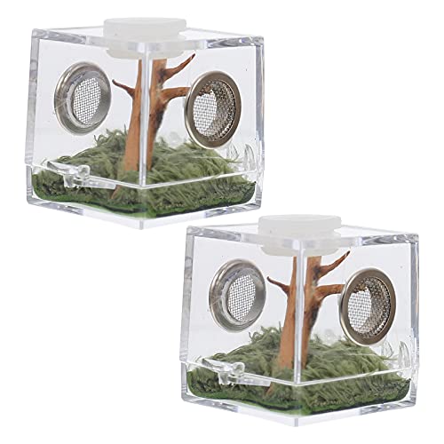 NUOBESTY 2 Set Spider Terrarium Acrylic Critter Keeper Jumping Spider Enclosure Snail Container House Reptile Terrarium Insect Enclosure Tank Snail Spider Habitat 3. 5X3. 5X4CM