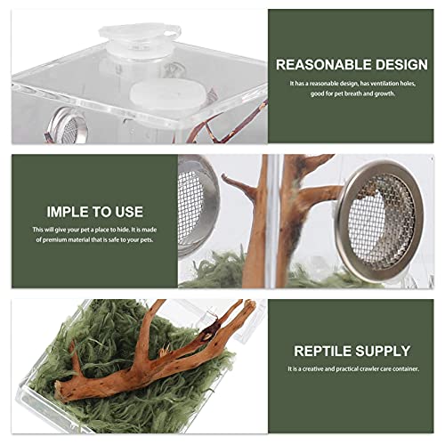 NUOBESTY 2 Set Spider Terrarium Acrylic Critter Keeper Jumping Spider Enclosure Snail Container House Reptile Terrarium Insect Enclosure Tank Snail Spider Habitat 3. 5X3. 5X4CM
