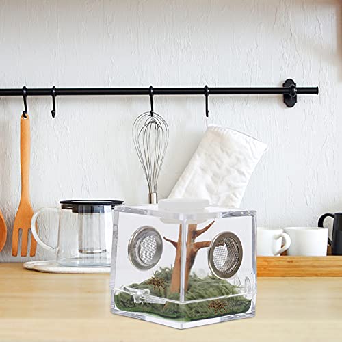 NUOBESTY 2 Set Spider Terrarium Acrylic Critter Keeper Jumping Spider Enclosure Snail Container House Reptile Terrarium Insect Enclosure Tank Snail Spider Habitat 3. 5X3. 5X4CM