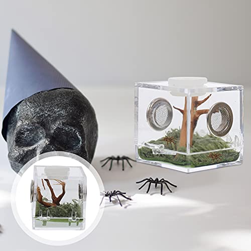 NUOBESTY 2 Set Spider Terrarium Acrylic Critter Keeper Jumping Spider Enclosure Snail Container House Reptile Terrarium Insect Enclosure Tank Snail Spider Habitat 3. 5X3. 5X4CM