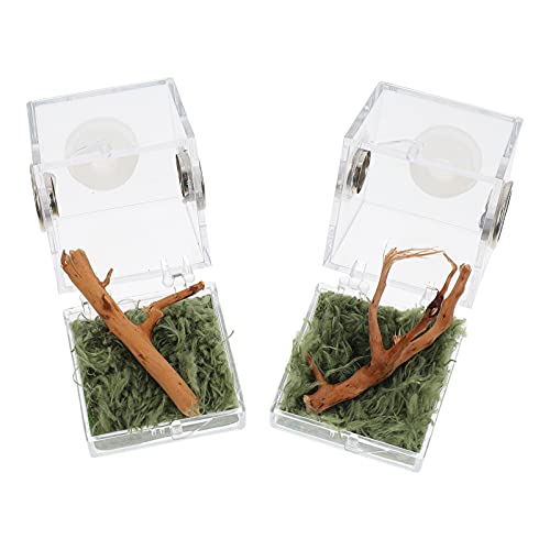 NUOBESTY 2 Set Spider Terrarium Acrylic Critter Keeper Jumping Spider Enclosure Snail Container House Reptile Terrarium Insect Enclosure Tank Snail Spider Habitat 3. 5X3. 5X4CM