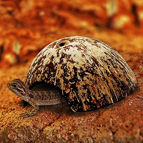 Mr.Peter 2 Pcs. Natural Coconut Shells for Reptile Safe Hideout, Hermit Crabs Hut, Lizard Shell Hut, Spider, Gecko Hids, Snake Hides, Large Aquarium Cave, Betta Fish Hide Cave, Leopard Gecko Tank
