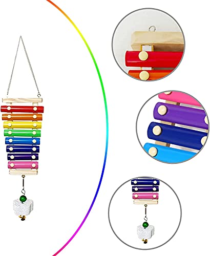 3 Packs Chicken Toys for Coop, Including Chicken Swing, Xylophone, Vegetable Hanging Feeder for Hens, for Chicken Medium Large Bird Parrot Training