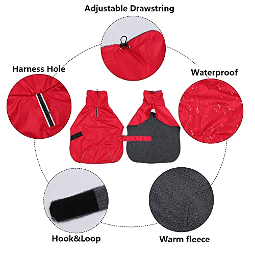 Greyhound Lurcher Winter Coat, Whippet Coat with Padded Fleece, Waterproof Dog Jacket with Adjustable Bands and Zipper Harness Hole - Red - Medium