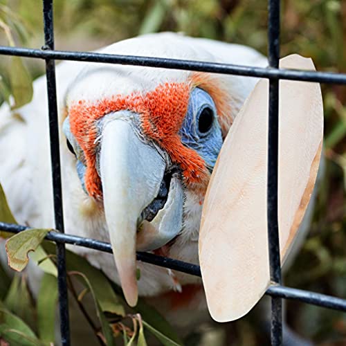 EXCEART 30pcs Bird Cuttlebone Natural Cuddle Bone Bird Beak Stone Beak Grinder Parrot Chew Toys Molar Toy for Parakeets Cockatiel Macaw