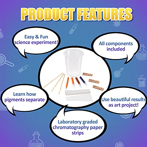Paper Chromatography Experiment Kit With Lab Instructions - DIY Science Experiment For Home, School, Lab - Kit Includes 50-Sheet Filter Paper, Beaker, Dowel, Clips, Pens, Pencil, Detailed Instructions