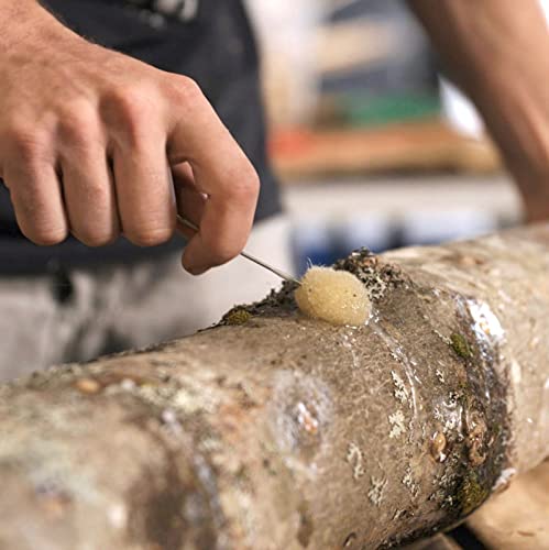 North Spore Lion's Mane Mushroom Plugs for Logs (100 Count) | Premium Quality Mushroom Plug Spawn | Handmade in Maine, USA | Grow Gourmet Mushrooms Outdoors on Logs