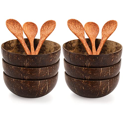 ZENFUN 6 Pack Coconut Bowls and Wooden Spoon, 15 Oz Polished Coconut Bowls, Natural Coconut Shell Bowls Set for Vegan Organic Salad, Smoothie or Buddha Bowls, Kitchen Storage, Lightweight