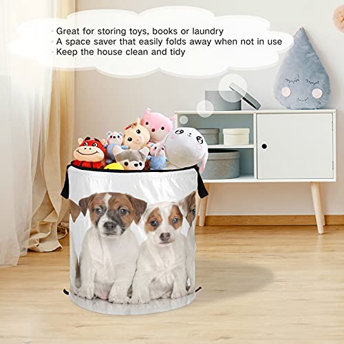 xigua Jack Russell Terrier Puppies Pop Up Laundry Hamper Bucket Cylindric, Foldable Clothes Bag, Folding Washing Bin,Large Capacity Zipper Lid Laundry Storage Basket