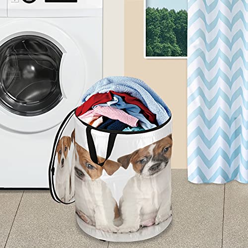 xigua Jack Russell Terrier Puppies Pop Up Laundry Hamper Bucket Cylindric, Foldable Clothes Bag, Folding Washing Bin,Large Capacity Zipper Lid Laundry Storage Basket