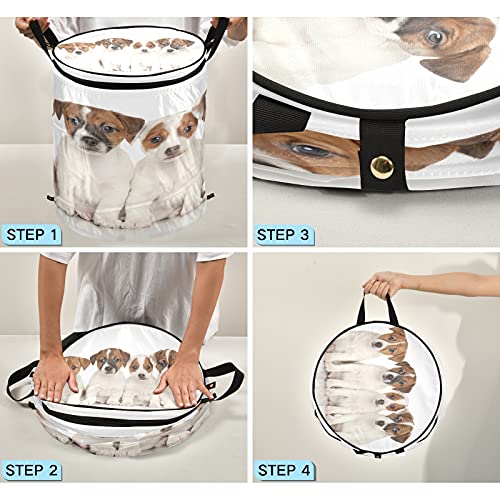 xigua Jack Russell Terrier Puppies Pop Up Laundry Hamper Bucket Cylindric, Foldable Clothes Bag, Folding Washing Bin,Large Capacity Zipper Lid Laundry Storage Basket