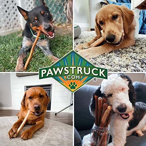 Pawstruck Beef Collagen Sticks for Dogs, Small Long Lasting Chews for All Breeds, 5-Count Bully Sticks and Rawhide Alternative Treats w/Chondroitin & Glucosamine, Low Fat & High Protein Dental Treats