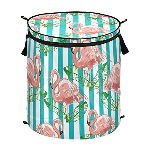 Tropical Flamingo Pop Up Laundry Hamper with Lid Foldable Storage Basket Collapsible Laundry Bag for Camping Picnics Bathroom
