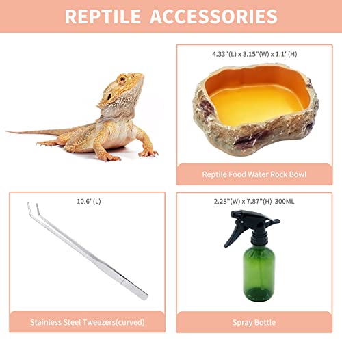 Reptile Growth Reptile Terrarium,16" x 8"x 10" Reptile Tank with Full View Visually Appealing,for Insect,Fish,Tarantula,Hermit Crab,Jumping Spider,Iguana,Tortoise,Leopard Gecko,Frog,Bearded Dragon