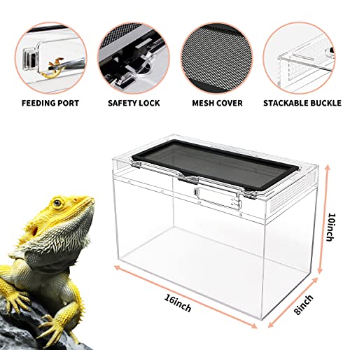 Reptile Growth Reptile Terrarium,16" x 8"x 10" Reptile Tank with Full View Visually Appealing,for Insect,Fish,Tarantula,Hermit Crab,Jumping Spider,Iguana,Tortoise,Leopard Gecko,Frog,Bearded Dragon