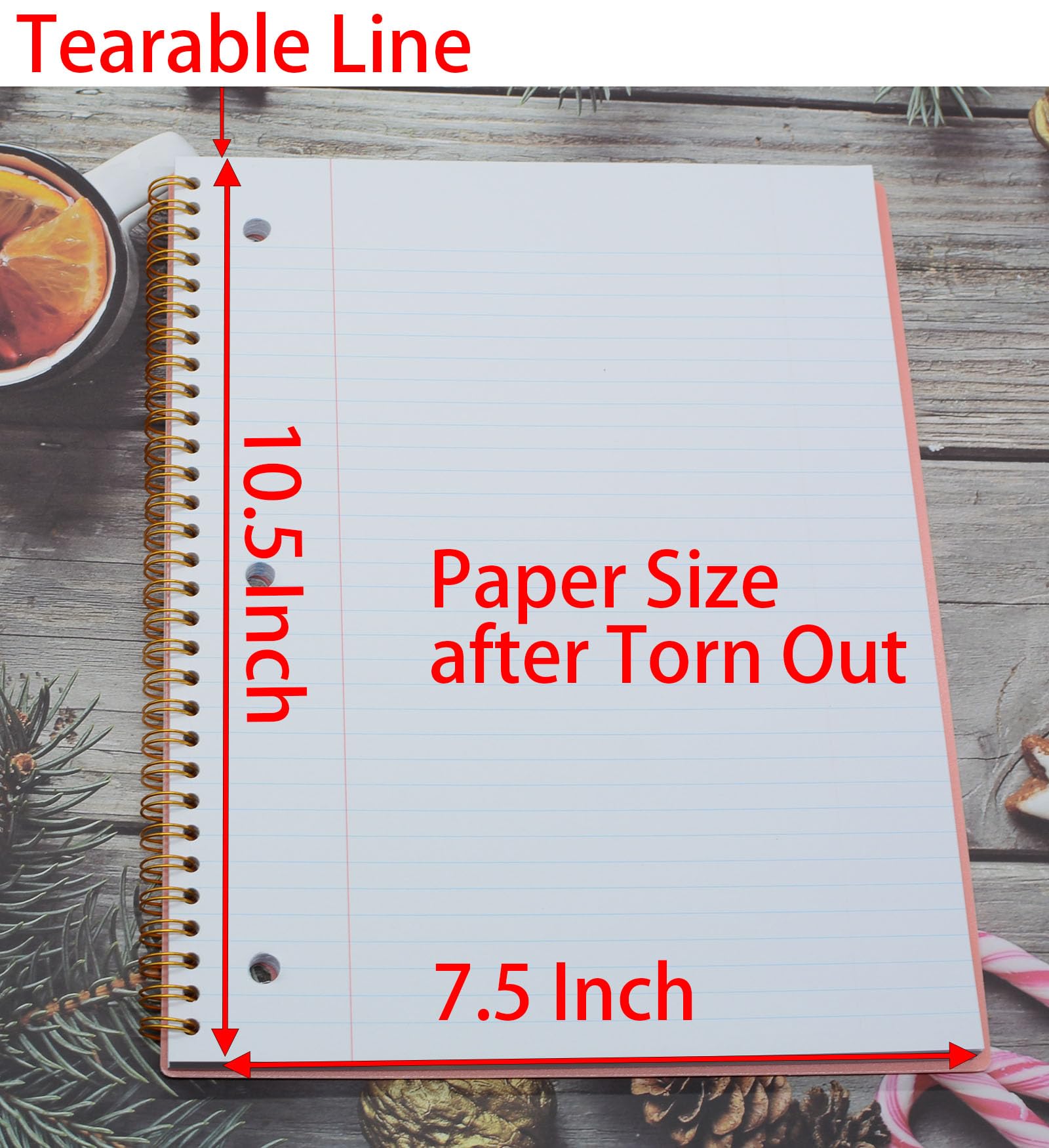 YIKANGHENG Tearable Loose-leaf Spiral Notebook, 2 Pcs 2 Color 3 Punch Design 10.5 Inch x 8.27 Inch Hard Plastic Cover 80 Sheets (160 Pages) 80 GSM for Study and Office Supplies (Blue and Pink)