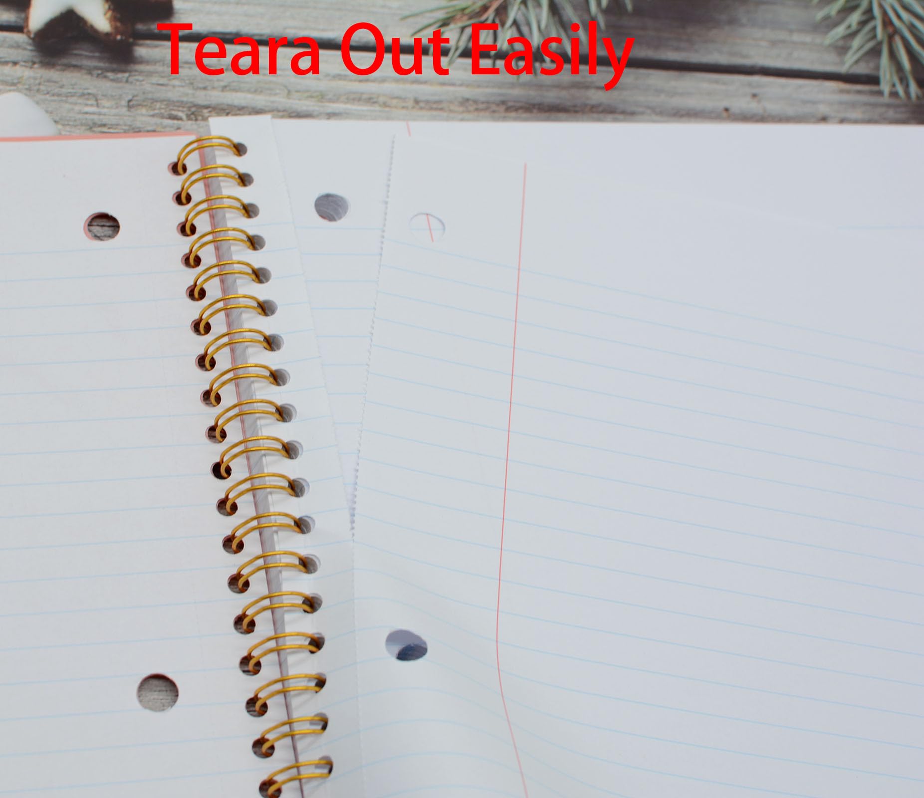 YIKANGHENG Tearable Loose-leaf Spiral Notebook, 2 Pcs 2 Color 3 Punch Design 10.5 Inch x 8.27 Inch Hard Plastic Cover 80 Sheets (160 Pages) 80 GSM for Study and Office Supplies (Blue and Pink)