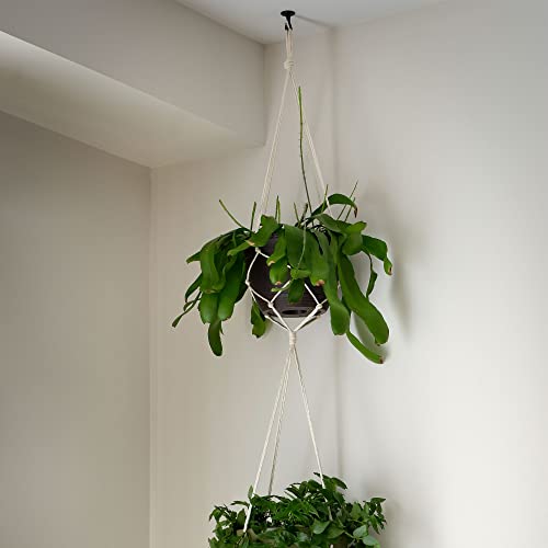 uxcell Ceiling Hooks with Hardware Zinc Alloy White 29x38mm 6Pcs for Hanging Chandeliers Plants