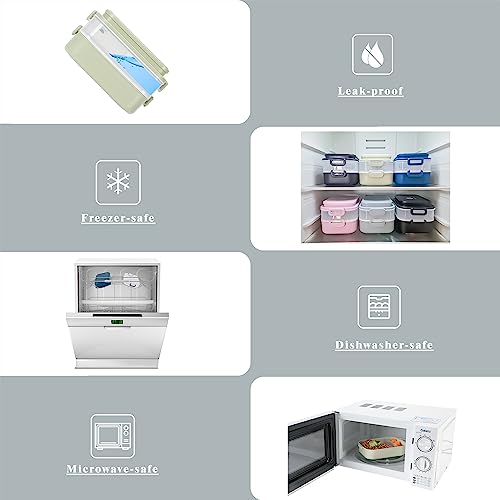 TWOKIWI Bento Box Adult Lunch Box – Lunch Containers for Adults – 7 Cup Bento Lunch Box with 6 Compartments & Spork, Microwave,Dishwasher & Freezer Safe