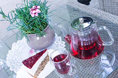 Aserson 1200 ml/40 oz Glass Teapot, Heat Resistant, Stainless Steel Infuser, Handmade, Leaf Tea Brewer, Borosilicate Glass, Stovetop Teapot and Microwave Safe
