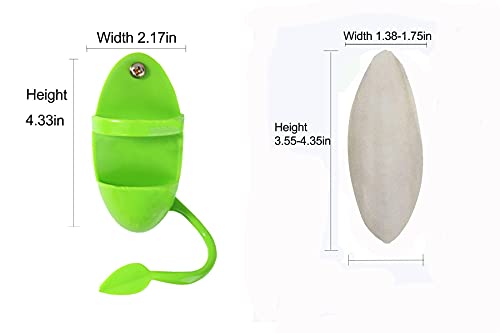 OSWINMART Cuttlefish Bone with Holder (1+2) Sets for Birds Handcraft Polish Cuttlebones Treat Feeder Food Basket for Fruit Vegetable Grain Wheat Stick Holder Suit Small to Regular Size Birds