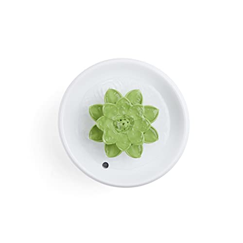 EveryYay Get Fresh Succulent Water Fountain for Pets, 50 fl. oz.