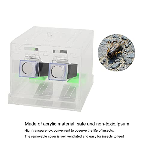 Jazar Cricket Keeper, Easy to Cricket Keeper with Tubes for Home for Office(L)