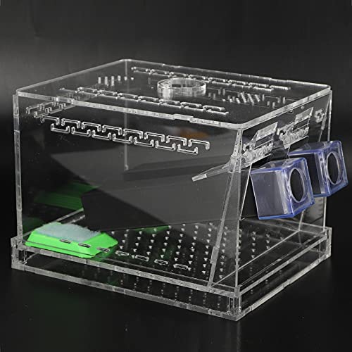 Jazar Cricket Keeper, Easy to Cricket Keeper with Tubes for Home for Office(L)