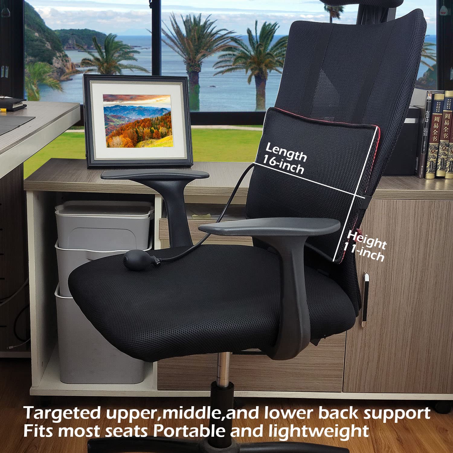 POPIPEN Inflatable Lumbar Support Pillow for Office Chair and Car Seat, Back Support Cushion with Air Pump for Reducing Lower Back Pain