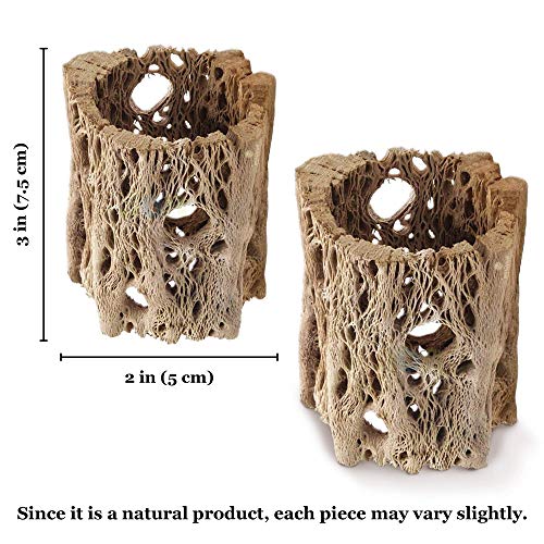 JOR 3" Cholla Wood Log, Extra Hollow Cave for Hermit Crabs, Chew Toy for Shrimps, Plecos, Organic Aquarium Driftwood Decoration, 2 Pcs per Pack