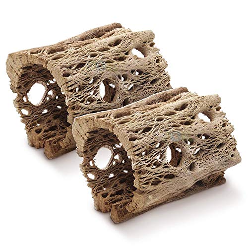 JOR 3" Cholla Wood Log, Extra Hollow Cave for Hermit Crabs, Chew Toy for Shrimps, Plecos, Organic Aquarium Driftwood Decoration, 2 Pcs per Pack
