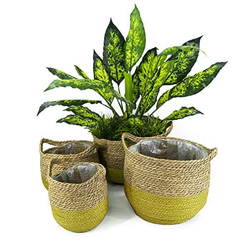 NOOR Living Design Products 38324 Basket Set 4-Piece Seagrass Natural Mustard M