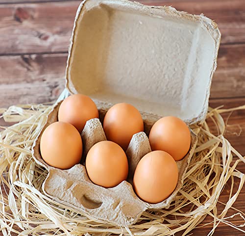 Lawei 20 Pack Empty Egg Cartons - 6 Cell Pulp Fiber Egg Tray Holder Egg Storage Containers for Family, Farm, Market, Camping, Picnic, Travel
