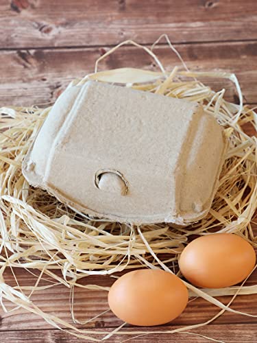 Lawei 20 Pack Empty Egg Cartons - 6 Cell Pulp Fiber Egg Tray Holder Egg Storage Containers for Family, Farm, Market, Camping, Picnic, Travel