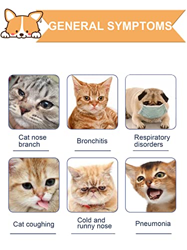 YHWD Pet Dog Cat Oxygen ICU Cage, 100L Puppy Incubator, PET Brooder Nursery, Puppy Nncubator for Cough Breathing Treatment Nebulization Box (Contains only Box)